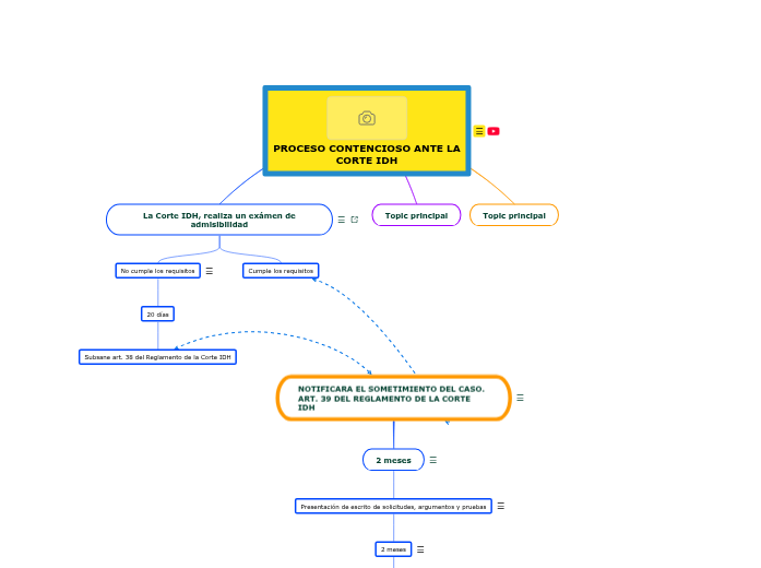Proceso Ante La Corte Idh Mind Map